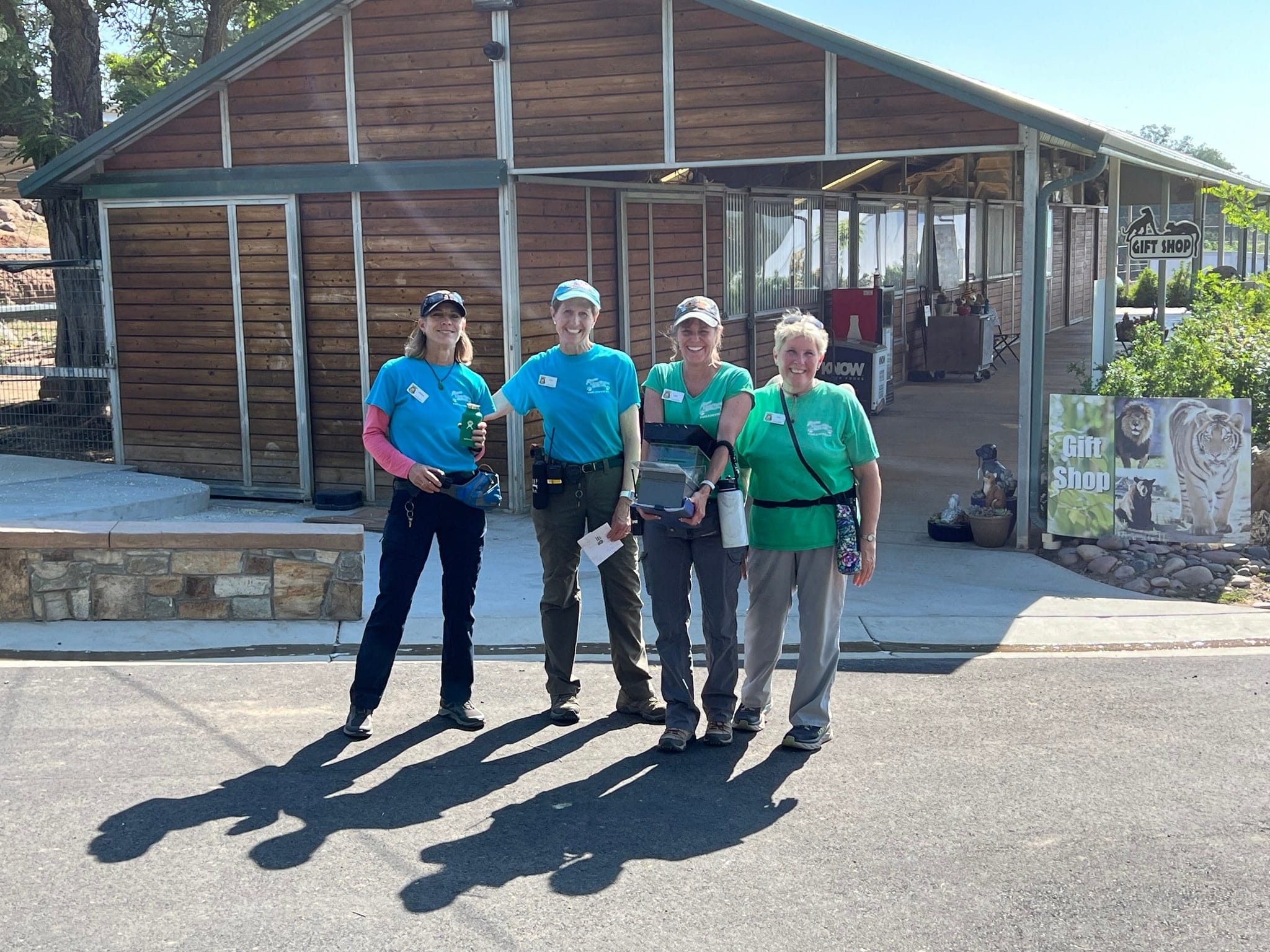 The Life Cycle and Significance of the Lion’s Mane - Lions Tigers and Bears