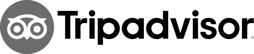 What Are the Favorite Foods of Lions, Tigers & Bears? - Lions Tigers ...